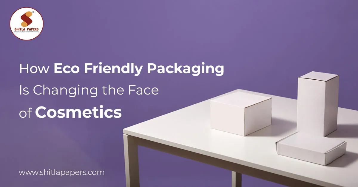 Paper Perfect: How Eco-Friendly Paper Packaging Is Changing the Face of ...